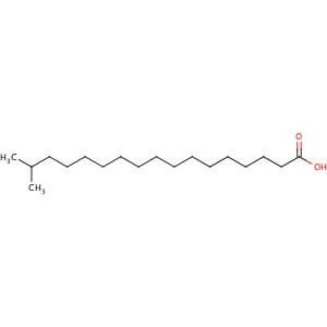 Isostearic acid | CAS 2724-58-5 | SCBT - Santa Cruz Biotechnology