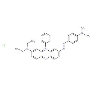 Janus Green B | CAS 2869-83-2 | SCBT - Santa Cruz Biotechnology