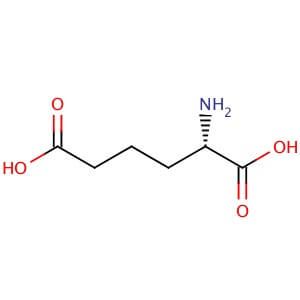 L-α-Aminoadipic acid | CAS 1118-90-7 | SCBT - Santa Cruz Biotechnology
