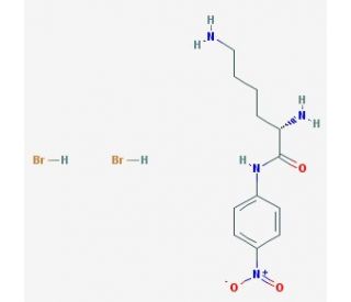 L-Lysine 4-nitroanilide dihydrobromide | CAS 40492-96-4 | SCBT - Santa ...