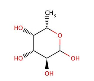 L-(−)-Fucose | CAS 2438-80-4 | SCBT - Santa Cruz Biotechnology