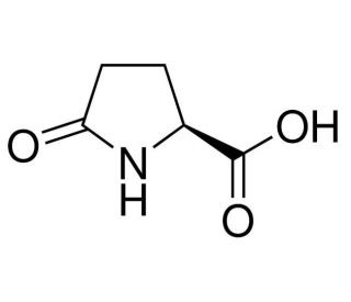 L-Pyroglutamic acid | CAS 98-79-3 | SCBT - Santa Cruz Biotechnology