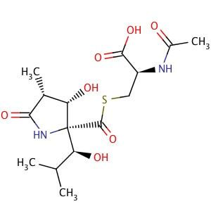 Lactacystin | CAS 133343-34-7 | SCBT - Santa Cruz Biotechnology