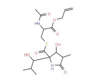 Lactacystin Allyl Ester | SCBT - Santa Cruz Biotechnology