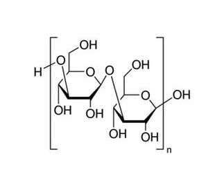 Laminarin | CAS 9008-22-4 | SCBT - Santa Cruz Biotechnology