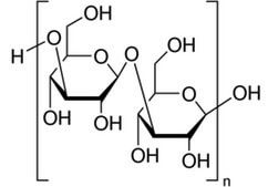 Laminarin | CAS 9008-22-4 | SCBT - Santa Cruz Biotechnology