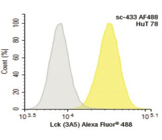 Anti-Lck Antibody (3A5) | SCBT - Santa Cruz Biotechnology