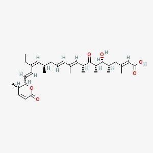 Leptomycin B | CAS 87081-35-4 | SCBT - Santa Cruz Biotechnology