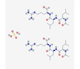 Leupeptin hemisulfate | CAS 103476-89-7 | SCBT - Santa Cruz Biotechnology