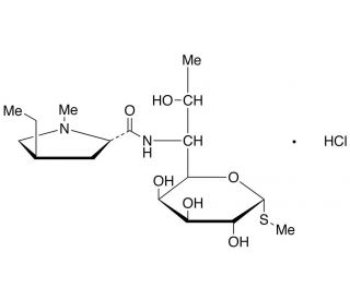 Lincomycin B Hydrochloride | CAS 11021-35-5 | SCBT - Santa Cruz ...