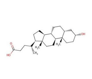 Lithocholic acid | CAS 434-13-9 | SCBT - Santa Cruz Biotechnology