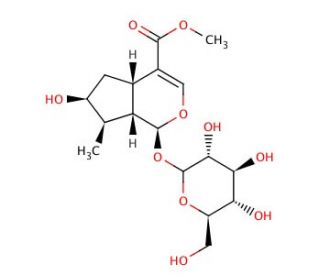 Loganin | CAS 18524-94-2 | SCBT - Santa Cruz Biotechnology