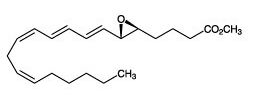 LTA4 (Leukotriene A4 methyl ester) | CAS 73466-12-3 | SCBT - Santa Cruz ...