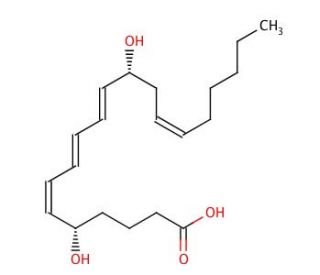 LTB4 (Leukotriene B4) | CAS 71160-24-2 | SCBT - Santa Cruz Biotechnology