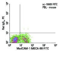 MAdCAM-1 Antibody (MECA-89) | SCBT - Santa Cruz Biotechnology