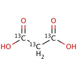 Malonic acid-13C3 | CAS 102342-85-8 | SCBT - Santa Cruz Biotechnology