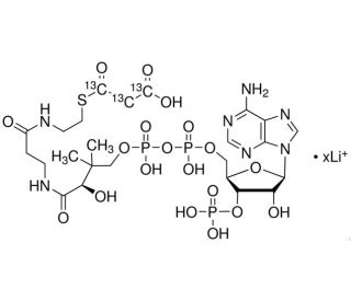 Malonyl-13C3 coenzyme A lithium salt | SCBT - Santa Cruz Biotechnology
