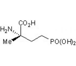 MAP4 | CAS 157381-42-5 | SCBT - Santa Cruz Biotechnology