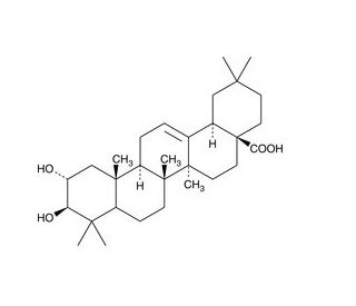 Maslinic Acid | CAS 4373-41-5 | SCBT - Santa Cruz Biotechnology