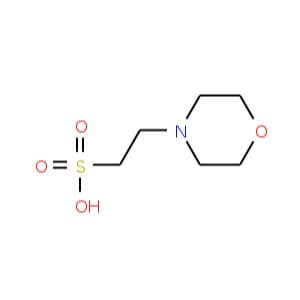 MES solution | CAS 4432-31-9 | SCBT - Santa Cruz Biotechnology