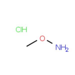 Methoxyamine hydrochloride | CAS 593-56-6 | SCBT - Santa Cruz Biotechnology