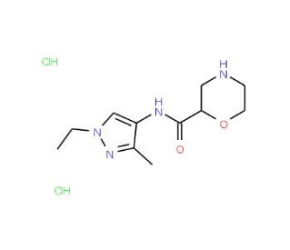 Morpholine-2-carboxylic acid (1-ethyl-3-methyl-1H-pyrazol-4-yl)-amide dihydrochloride | Santa ...