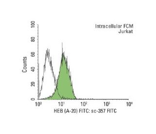 HEB (A-20): sc-357. Indirect, intracellular FCM analysis of fixed and...