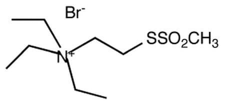 MTS-TEAE | SCBT - Santa Cruz Biotechnology