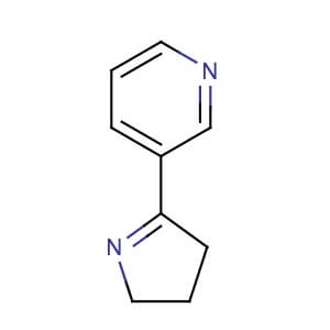 Myosmine | CAS 532-12-7 | SCBT - Santa Cruz Biotechnology
