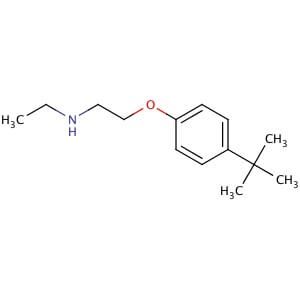 N-{2-[4-(tert-Butyl)phenoxy]ethyl}-N-ethylamine | SCBT - Santa Cruz ...
