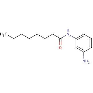 N-(3-Aminophenyl)octanamide | SCBT - Santa Cruz Biotechnology