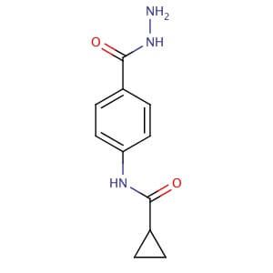 N-[4-(Hydrazinocarbonyl)phenyl]-cyclopropanecarboxamide | SCBT - Santa Cruz Biotechnology