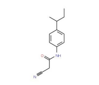 N-(4-sec-Butyl-phenyl)-2-cyano-acetamide: sc-354797...