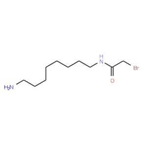 N-(8-Aminooctyl)-2-bromoacetamide | SCBT - Santa Cruz Biotechnology