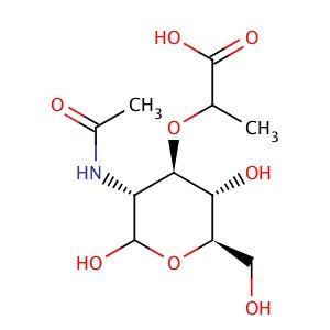 N-Acetylmuramic acid | CAS 10597-89-4 | SCBT - Santa Cruz Biotechnology