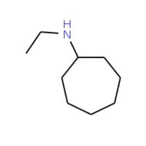 N-Cycloheptyl-N-ethylamine | CAS 45806-60-8 | SCBT - Santa Cruz ...