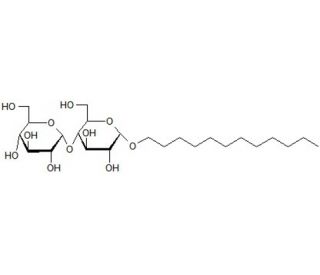 n-Dodecyl α-D-maltoside | CAS 116183-64-3 | SCBT - Santa Cruz Biotechnology