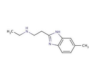 N-Ethyl-N-[2-(5-methyl-1H-benzimidazol-2-yl)ethyl]amine | SCBT - Santa ...