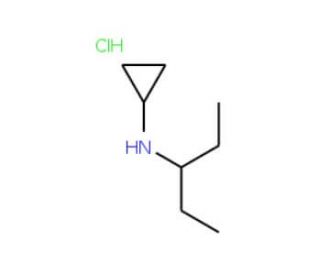 N-(pentan-3-yl)cyclopropanamine hydrochloride | SCBT - Santa Cruz ...
