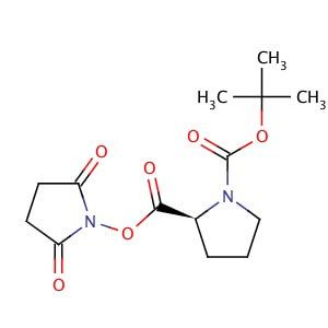 N-t-Boc-L-proline-N-hydroxysuccinimide Ester | CAS 3392-10-7 | SCBT ...