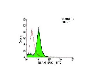 Anti-NCAM/CD56 Antibody (ERIC 1) | SCBT - Santa Cruz Biotechnology