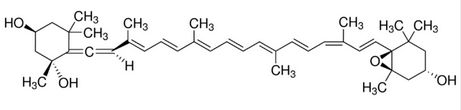 Neoxanthin | CAS 14660-91-4 | SCBT - Santa Cruz Biotechnology
