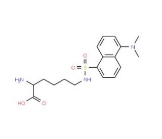 Nε-Dansyl-L-lysine | CAS 1101-84-4 | SCBT - Santa Cruz Biotechnology