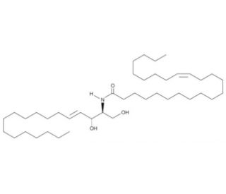 Nervonic ceramide | CAS 54164-50-0 | SCBT - Santa Cruz Biotechnology