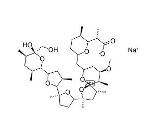 Nigericin sodium salt | CAS 28643-80-3 | SCBT - Santa Cruz Biotechnology