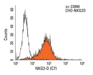 NKG2-D Antibody (C7) | SCBT - Santa Cruz Biotechnology