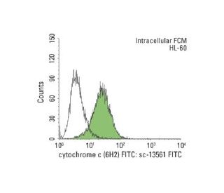 normal mouse IgG 1 -FITC | SCBT - Santa Cruz Biotechnology