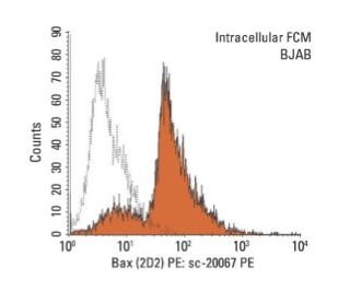 normal mouse IgG 1 -PE | SCBT - Santa Cruz Biotechnology