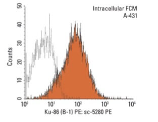 normal mouse IgG 1 -PE | SCBT - Santa Cruz Biotechnology