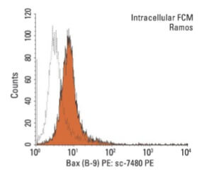 normal mouse IgG 2b -PE | SCBT - Santa Cruz Biotechnology